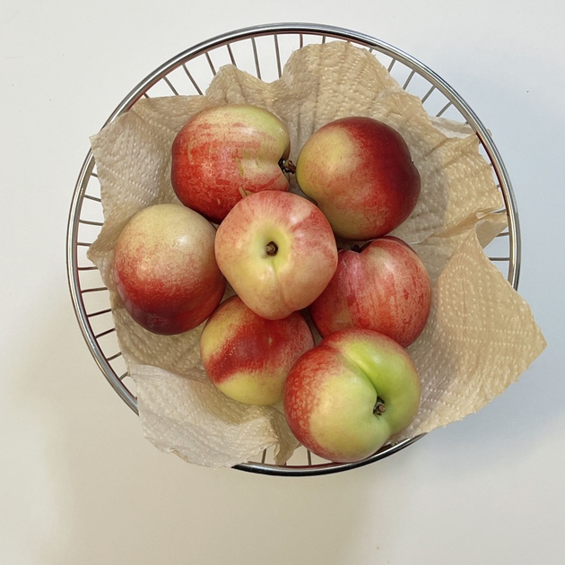 eong.table 님의 라이프스타일 | 라이프스타일 슈퍼앱, 오늘의집