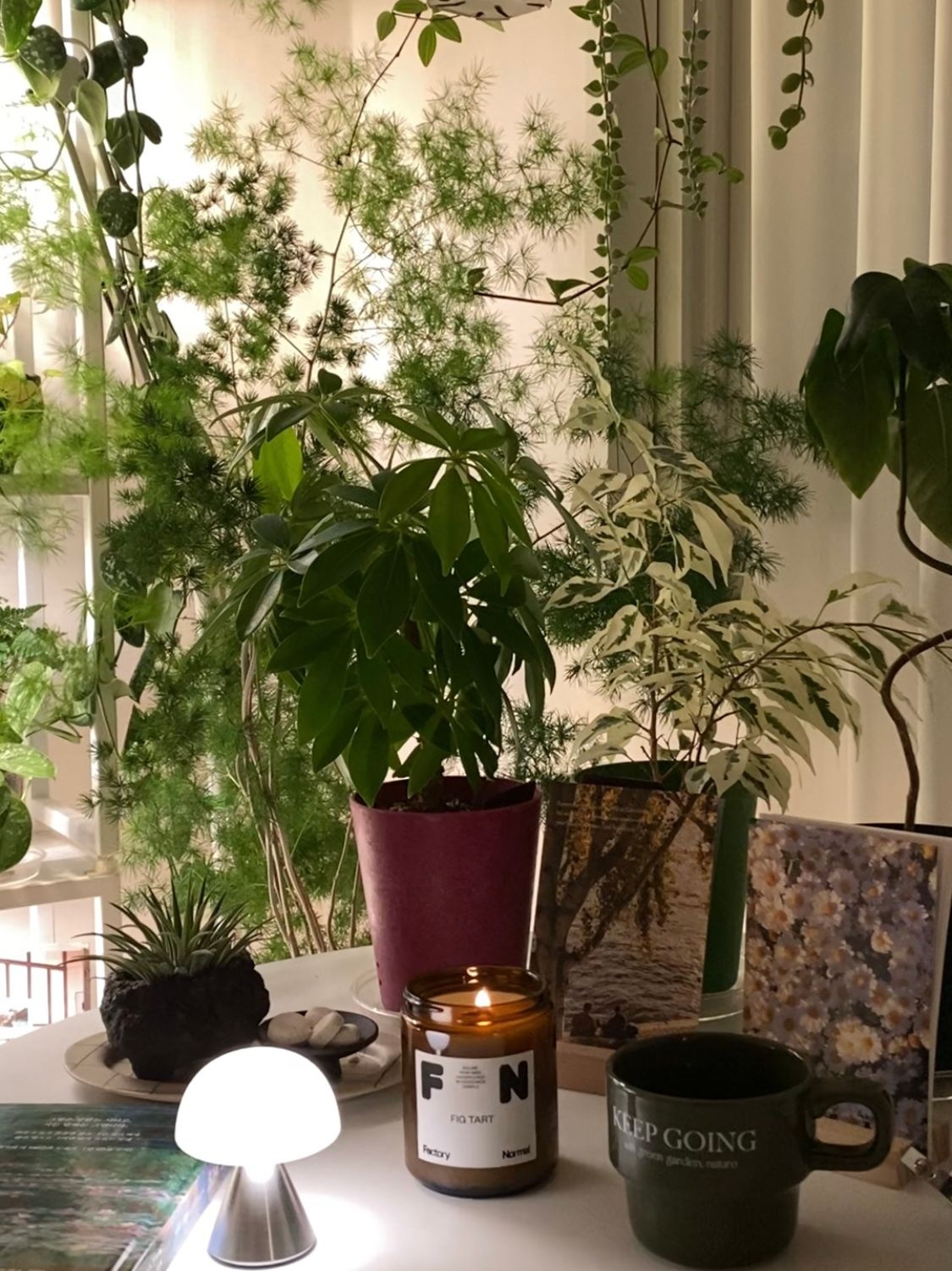 j.keep_ggoing_green 님의 라이프스타일 | 라이프스타일 슈퍼앱, 오늘의집